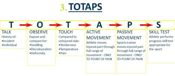 Initial Injury Assessment INformation Sheet - Australian Physiotherapy ...