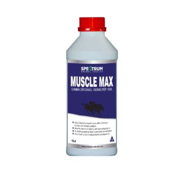Spectrum Muscle Max - Australian Physiotherapy Equipment