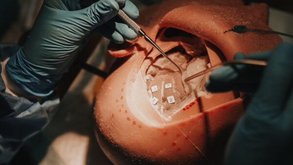 Transcranial Approaches Surgery Simulator - APE Medical