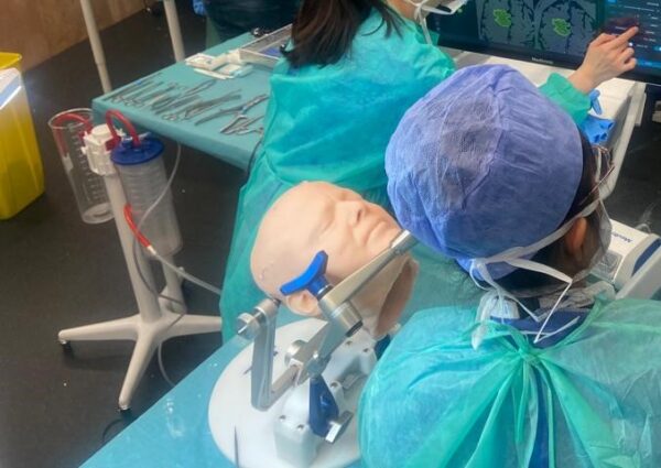 Transcranial Approaches Surgery Simulator - APE Medical