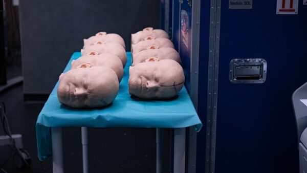 Transcranial Approaches Surgery Simulator - APE Medical