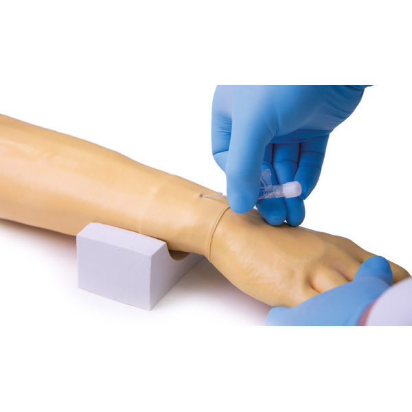 Training arm for intravenous injection and infusion - Australian ...