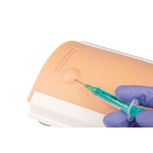 Intradermal injection trainer - Australian Physiotherapy Equipment