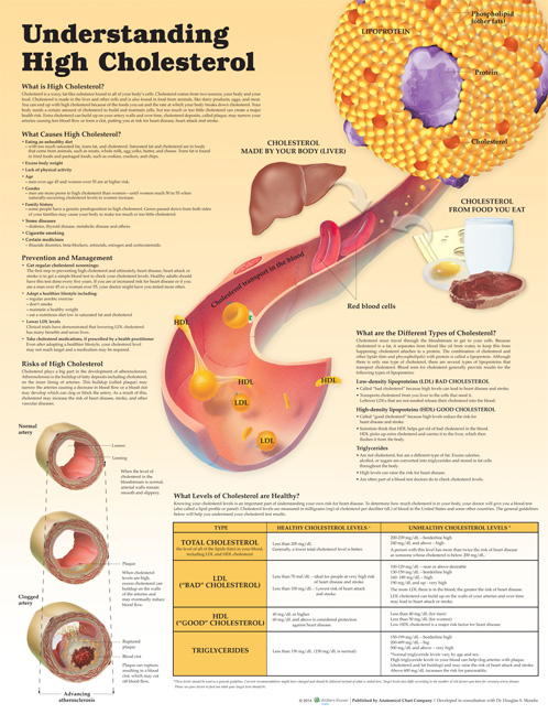 Understanding High Cholesterol - Soft Laminate - Australian ...