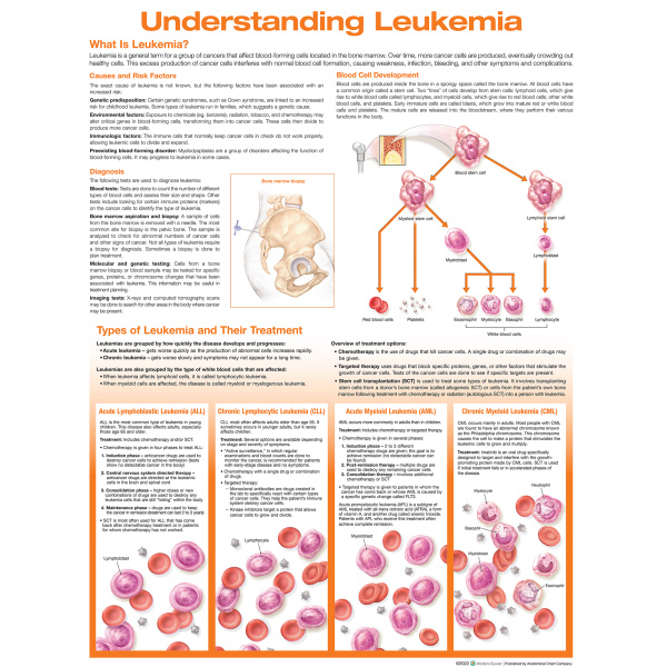 Understanding Leukemia Anatomical Chart - Soft Laminate - Australian ...