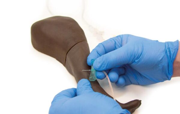 Canine Venipuncture & Injection Trainer - Australian Physiotherapy ...