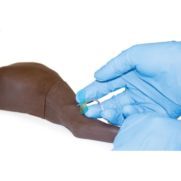 Canine Venipuncture & Injection Trainer - Australian Physiotherapy ...