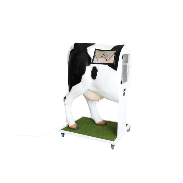 Advanced simulator for artificial insemination (AI) of the cow ...