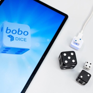 BoBo Dice - Australian Physiotherapy Equipment